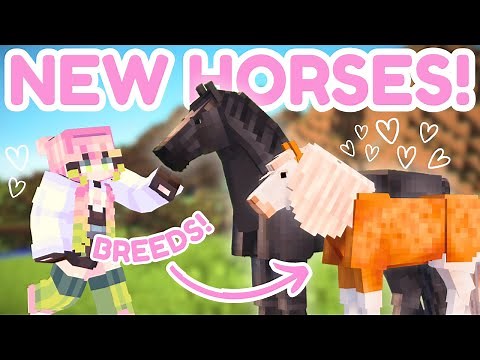 New Horse Models & Breeds For SWEM! || Minecraft Resource Pack Showcase!