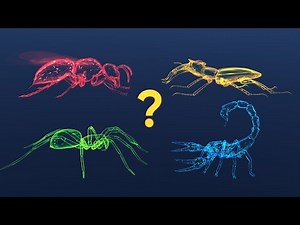 🐞🐛 Insects 🦂🐝🦋🐌🐜🦗