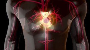 heart 3D animation with background.