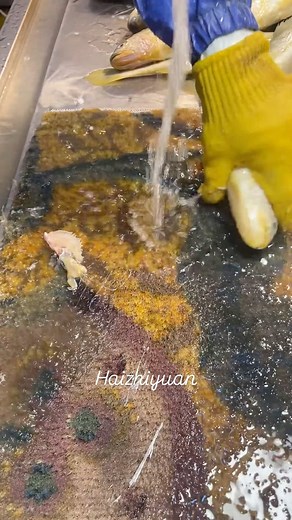 Chunming Zhu | Fish processing #food #seafood #fishing #fish #vegetables #machine | Instagram