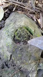 1.8M views · 10K reactions | Treasure hunt sound test coated soccer #treasure #dedektör #define #keşfet | definecilerburda | Facebook