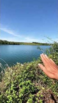 5000/m2 View of Butterfly Lake, Bao Loc @hiephuynhdq #0817187979