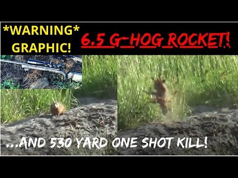 Groundhog ROCKET!!! **GRAPHIC** The 6.5 Creedmoor sends one flying - AND - 530 yard one shot kill!