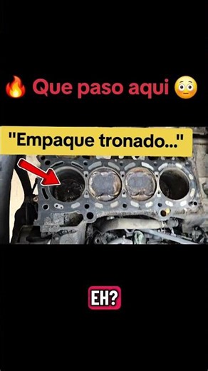 "How to Diagnose a Blown Head Gasket Like a PRO in 60 Seconds!"