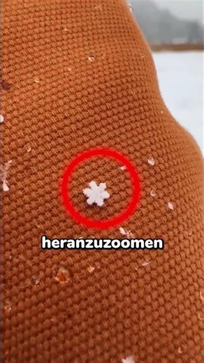Dieser Schnee fällt nur einmal alle 10 Jahre 🤯