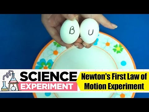 Newton's First Law of Motion Experiment | Science Experiment -29 | Easy Chemistry Experiments