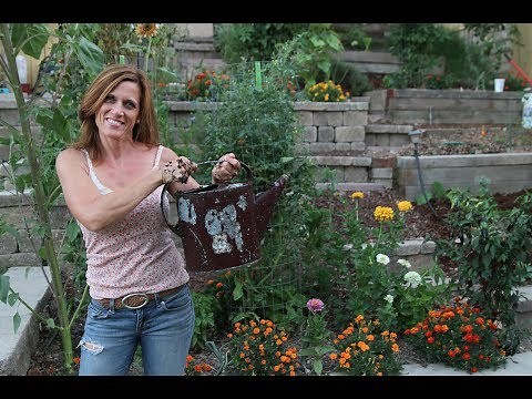 How to Make Compost Tea - Super Easy Method