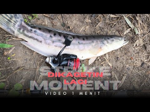 Strike Ngagetin - Toman Cipanas, Sumedang