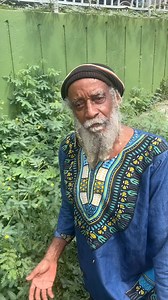 189K views · 10K reactions | SENSITIVE PLANT (Mimosa Pudica) -...