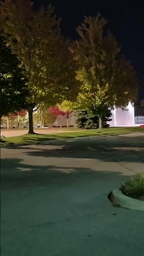 87 trans am 69 firebird crusin