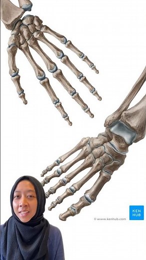 What are the smallest bones in the human body? #anatomy