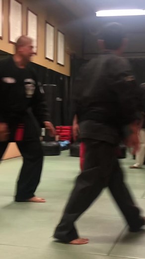 79K views · 553 reactions | Techniques are tools to practice principles #edparkersr #kenpo #karate | Larry Kongaika Kenpo Ikka | Facebook
