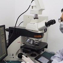 Video: Elastic Staining on Paraffin-embedded Slides of pT3N0M0 Gastric Cancer Tissue