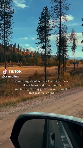 Embrace Autumn Colors: Letting the Day Lead