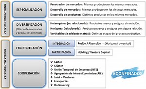 Resumen crecimiento interno y externo empresarial