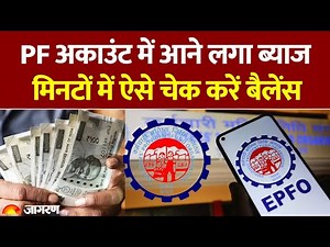 EPFO News: PF अकाउंट का ऐसे चेक करें बैलेंस।Hindi News।Latest Update।How To Check PF Account Balance
