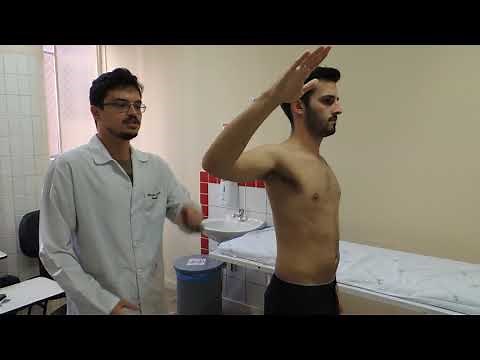 Teste de Patte - UFMG