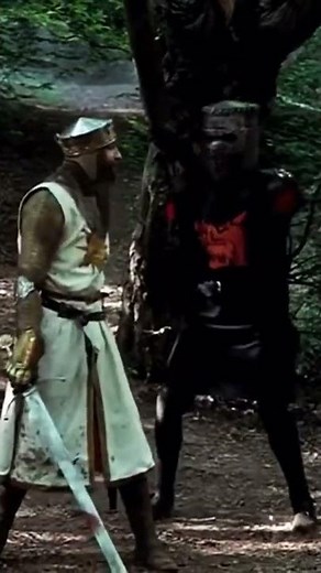 Epic Monty Python Black Knight Flesh Wound! #shorts #comedyclip