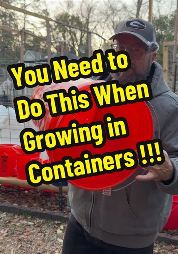 How to Successfully Grow Vegetables in Containers