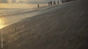 newborn turtle sweep sea wave, shot from water, clouse up turtle, turtle sanctuary hatchery located on the beach