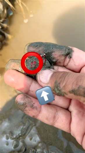 I Found a Real Gem at Los Angeles Beach | Rare Treasure Discovery