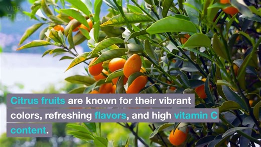 Revealed! The Miracle of Citrus Fruit: Health Benefits and Side Effects