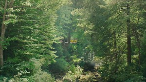 318 reactions · 62 shares | Discover how every little detail seems to fall into place at PA's Fallingwater. | visitPA | Facebook