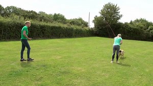 69K views · 282 reactions | Is Your Dog Reactive? We Hope So! ...