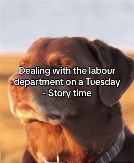 Department of Labour & Employment in Bronkies - had been waiting 3 years for this claim to be processed, came to hand in a form they requested could only be submitted in-person, get there, wait an hour, and they tell me they lost my claim and there’s nothing they can do. Supervisor then says she will hand over to head office in PTA East… maybe another 3 years and my claim will get processed? Wild. . . #southafrica #fyp #learnontiktok #help #temple
