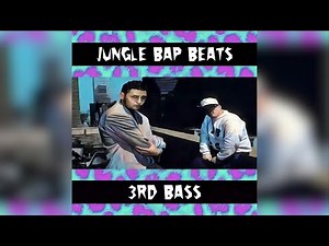 🔥 3rd Bass Tribute Rap Video 2025 | Jungle Bap Beats x D Skillz Music (NYC Official Music Video