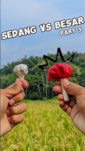 Firecrackers Slamming Part 3 #firecrackers #petasan #experiment #fireworks #shorts