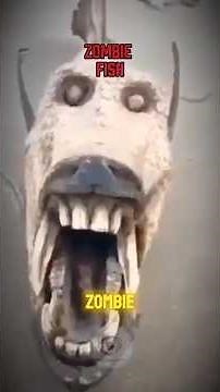 Top 10 Most Bizarre Creatures & Events Ever Recorded​ #UnexplainedPhenomena #BizarreCreatures