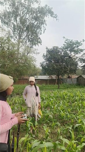 Drone Remote Control Explained for Beginners || DJI Mini 3 #drone #djimini3 #dji #djidrone