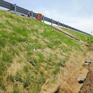 [Hot Item] Customizable Coco Coir Mat for Unique Landscaping Projects