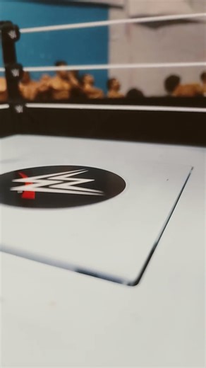 wwe all sound effect