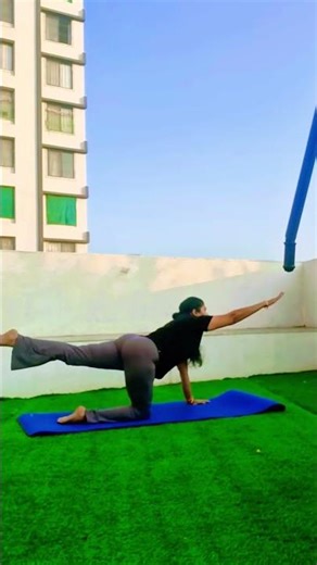 Cat pose Holding Yoga exercises for Back problem releif and Belly fat Loss Yoga exercises workout