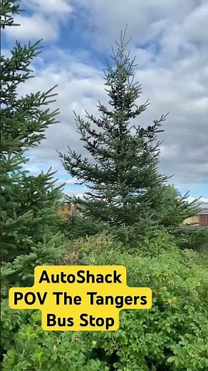 AutoShack, the leading Auto Parts store in Canada