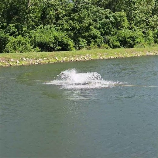 Isvinder Aerating Fountain and De-icer