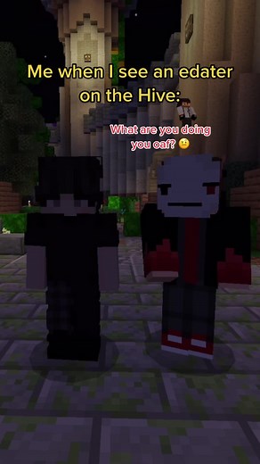 Love Life Team Minecraft - The Hive E-Dater