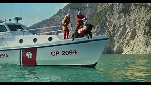 Join an immersive IMAX® and giant screen adventure to experience the life-saving superpowers and extraordinary bravery of some of the world's most amazing dogs. #superpowerdogs | Superpower Dogs