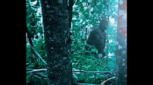 British Columbia Sasquatch Vocalizing near Castlegar #bigfoot #sasquatch | Rocky Mountain Sasquatch Organization