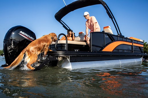 REVO Ladder: #1 Boarding Ladder for People & Dogs