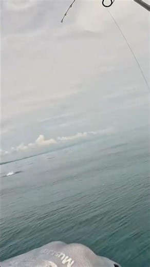 Insane Queenfish Strike! Popper Crushed & Drag Screaming! 🇹🇭🐟 #fishing #youtubeshorts