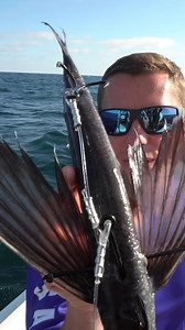 1.8M views · 10K reactions | This is the craziest bait I ever Used! Bluefin tuna love flying fish! #tunafishing #flyingfish #sandiegofishing #deepseafishing #fishing #saltwaterfishing #bluefintuna #angler #saltlife #kitefishing #californiafishing | Landshark Outdoors | Facebook