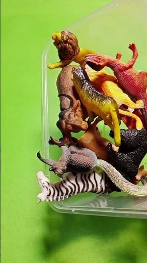 Satisfying ASMR Mini Animal Toys Shake & Drop | Relaxing Tapping Sounds 🐾✨