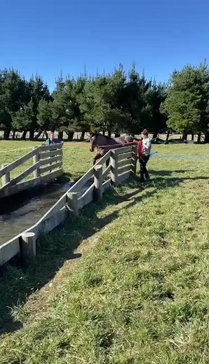 Safe to say the jumpers first time through the water lane wasnt a success 😬🤣 #waterhorse #fail #leap #splash
