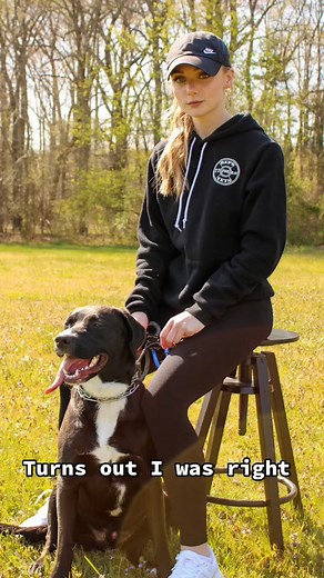 Beau 🥹🤍 #miltok #military #afmedic #airforce #womeninmilitary #fyp #foryou #33333 #beautok #greenscreen | The Rylee