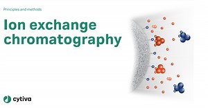 Simplified guide to ion exchange chromatography | Drug Discovery And Development