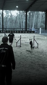 19K views · 160 reactions | Agility isn’t only about running, speed, or athleticism. It’s about understanding your dog’s perspective so you can communicate clearly, even on the fastest courses. If you’re curious about learning agility the way dogs understand it, join our Black Friday newsletter list for early access to offers and exclusive training tips.  https://hubs.li/Q03V8zjJ0 #oneminddogs #dogagility #agilitytraining | OneMind Dogs | Facebook
