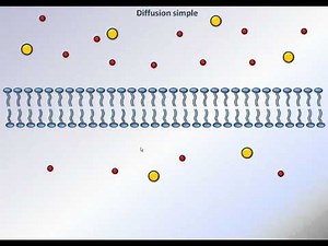 Diffusion simple